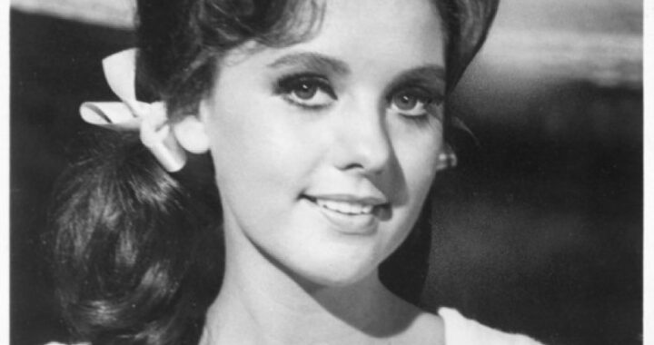 #0481: Anik Matern; Shannon O’Dowd; & David Buck - The Stuph File